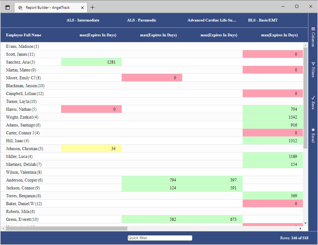 Report Builder Walkthrough: Crew Certificates Overview